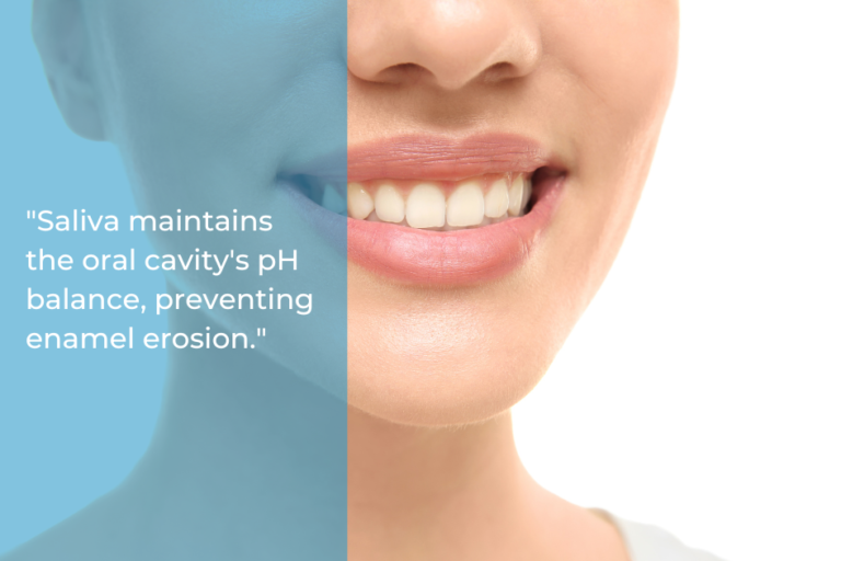 Inside the Mouth: An Exploration of Oral Anatomy and Its Role in Dental ...